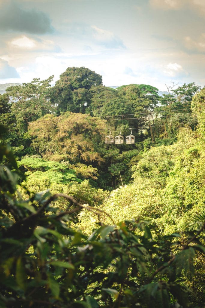 Aerial Tram Breathtaking Views | Sky Adventures