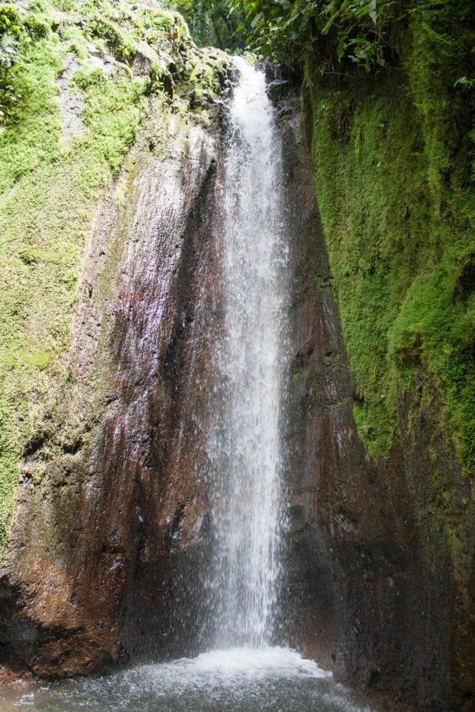 Nature Based Hanging Bridges | Sky Adventures