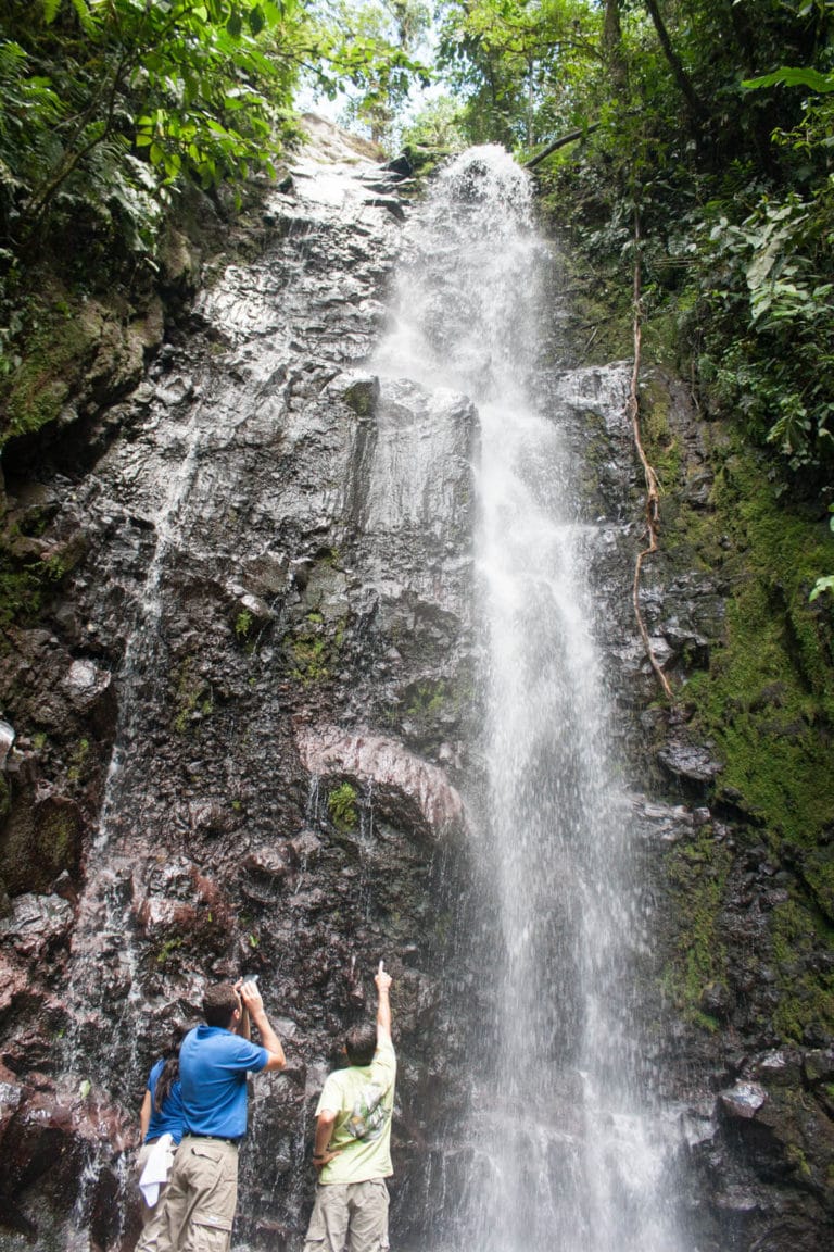 Nature Based Hanging Bridges | Sky Adventures