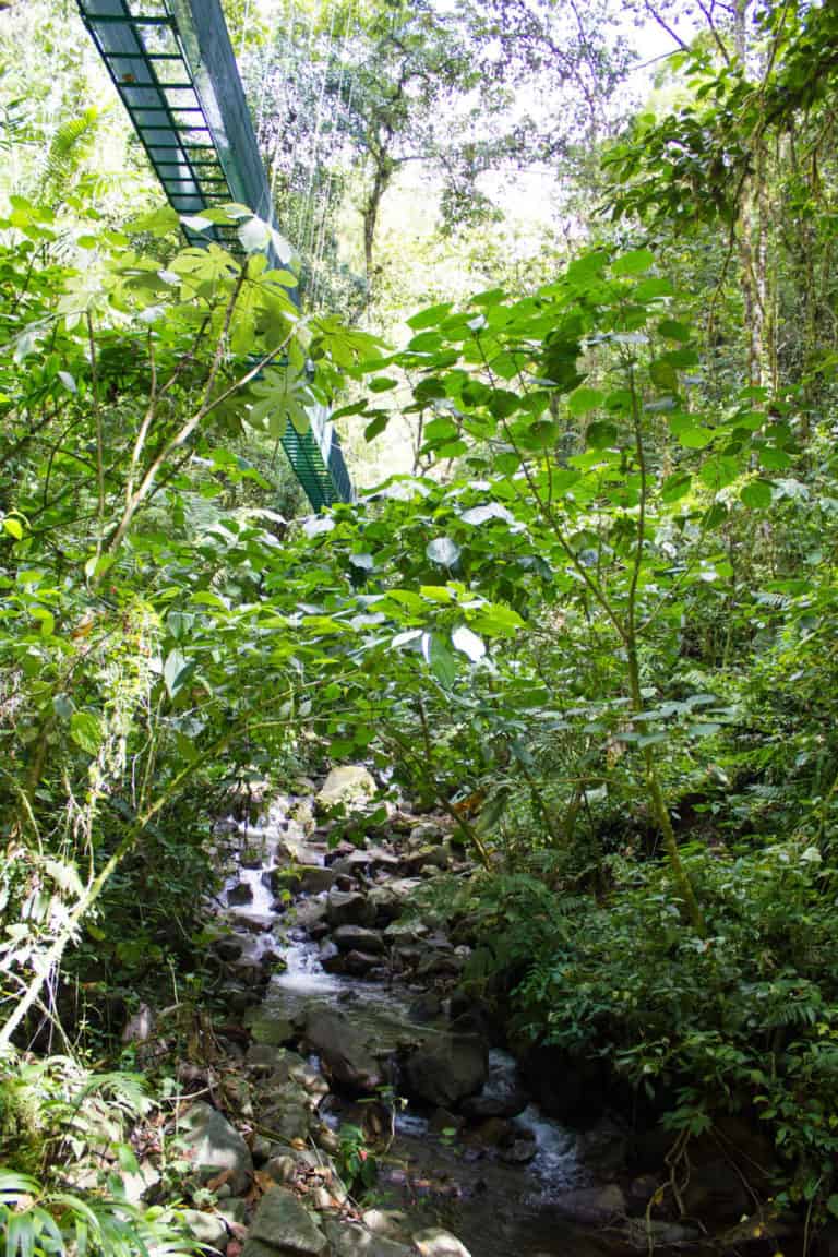 Nature Based Hanging Bridges | Sky Adventures