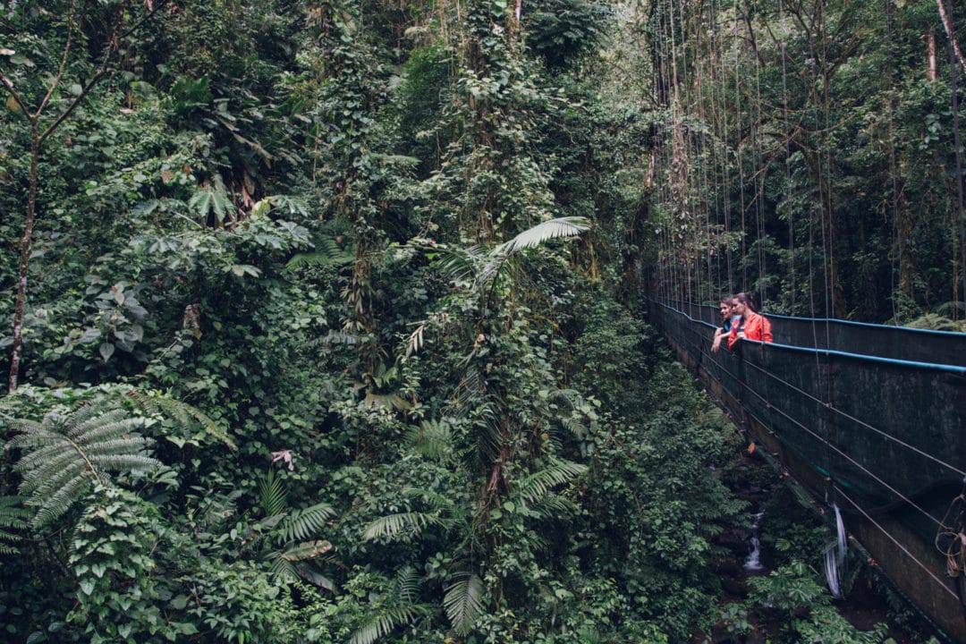 Nature Based Hanging Bridges | Sky Adventures