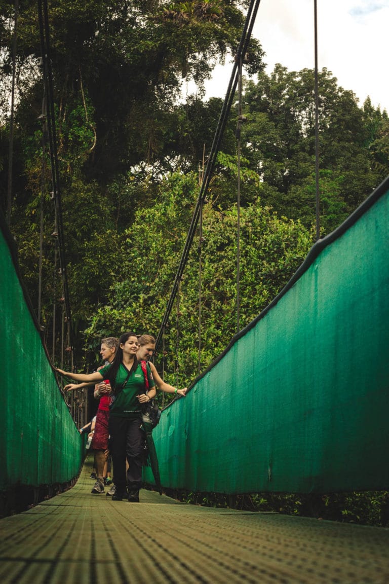 Nature Based Hanging Bridges | Sky Adventures