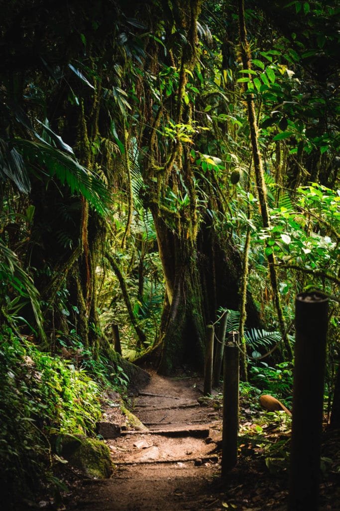 Nature Based Hanging Bridges | Sky Adventures