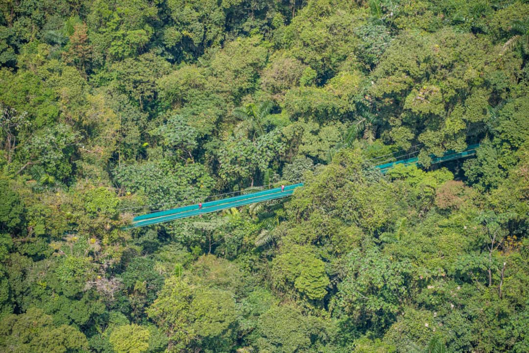 Nature Based Hanging Bridges | Sky Adventures
