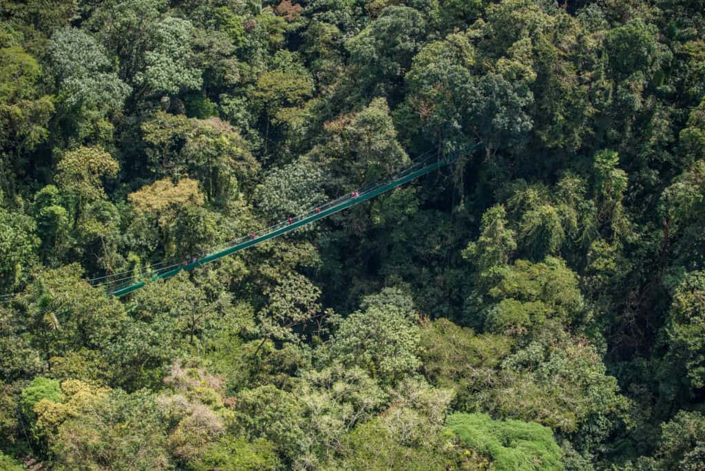 Nature Based Hanging Bridges | Sky Adventures