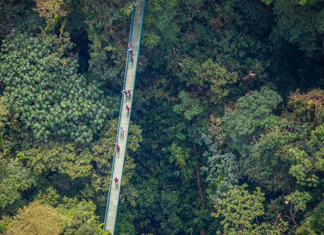 Nature Based Hanging Bridges | Sky Adventures