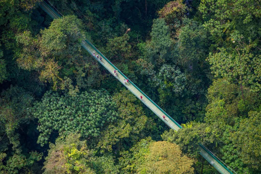 Nature Based Hanging Bridges | Sky Adventures